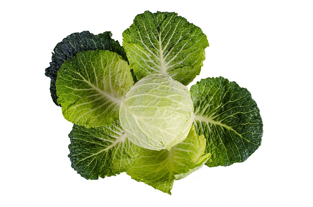 How to grow Cabbage at home - Grow your own Grub!
