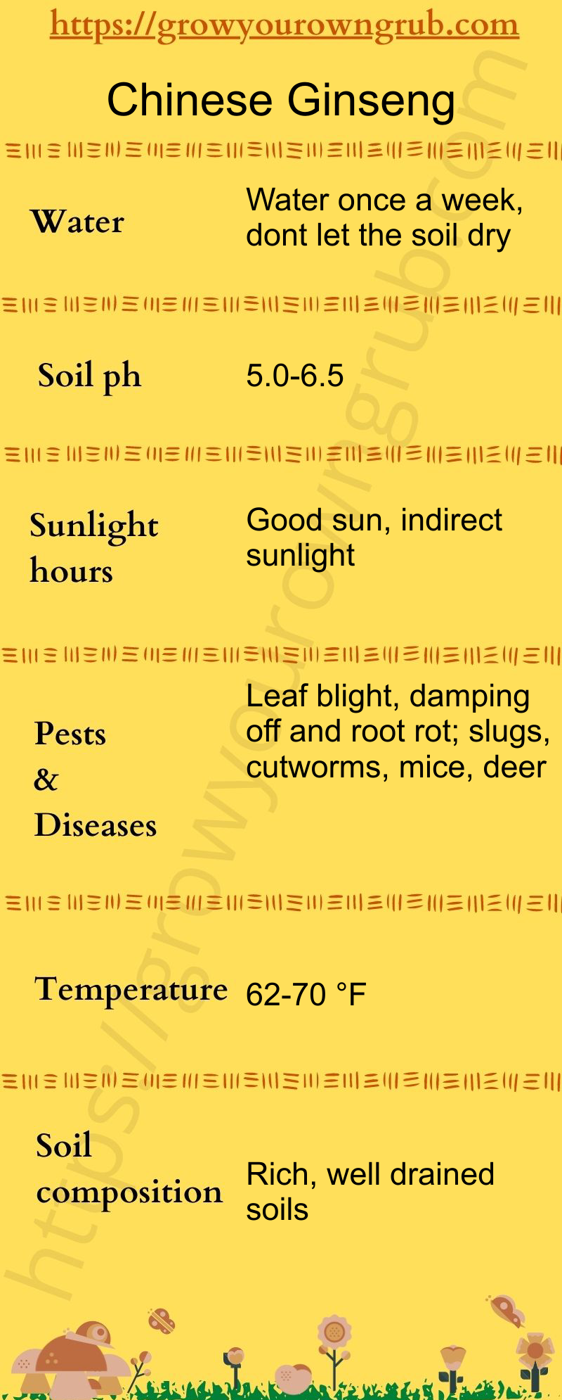 How to grow Ginseng plants at home - Grow your own Grub!