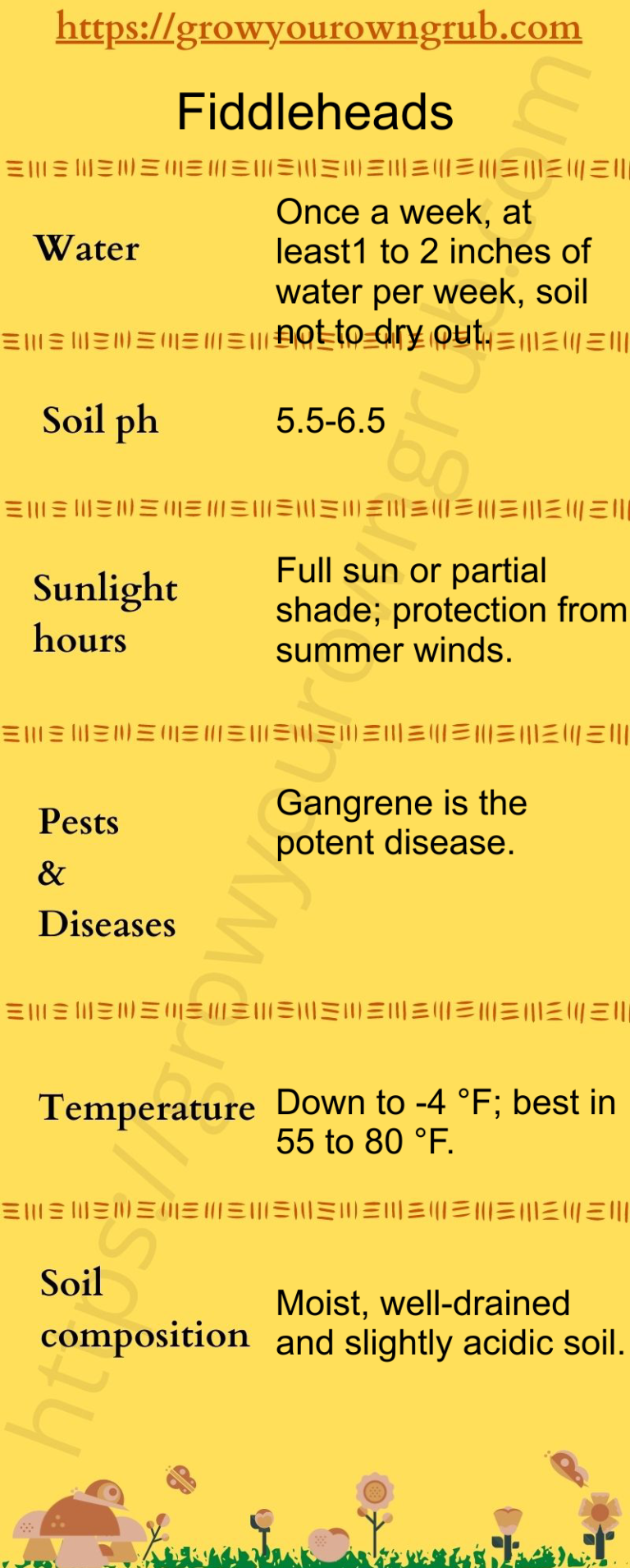 How to grow Fiddleheads easily - Grow your own Grub!