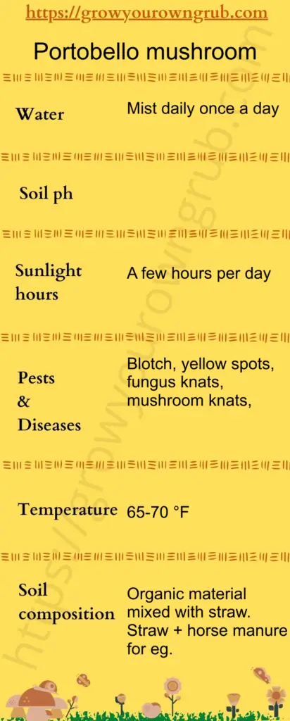 How to grow Portobello mushrooms - Grow your own Grub!