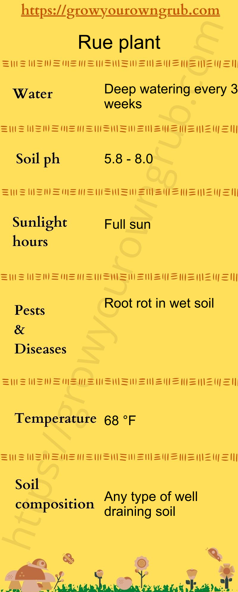 How to grow Rue plants at home easily - Grow your own Grub!