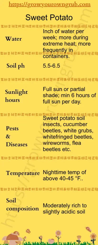 How to grow Sweet potato easily - Grow your own Grub!