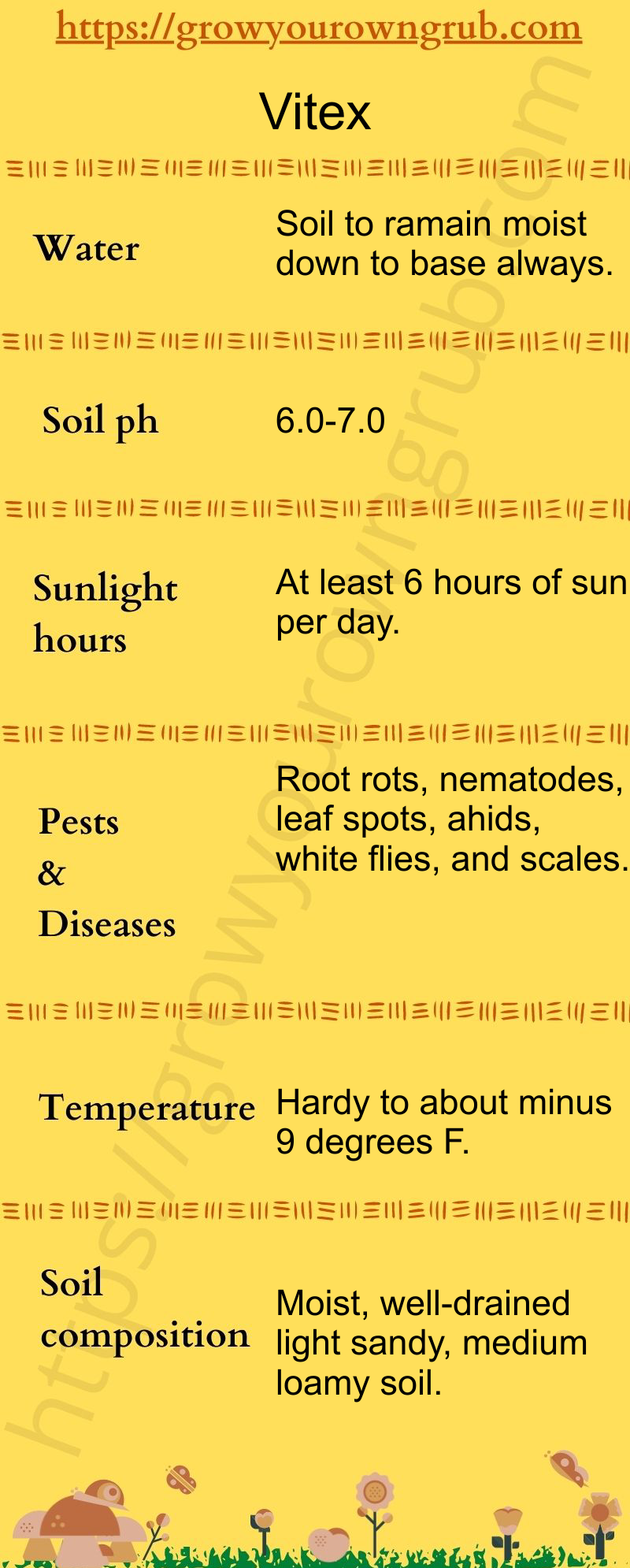 How to grow Vitex plants at home - Grow your own Grub!