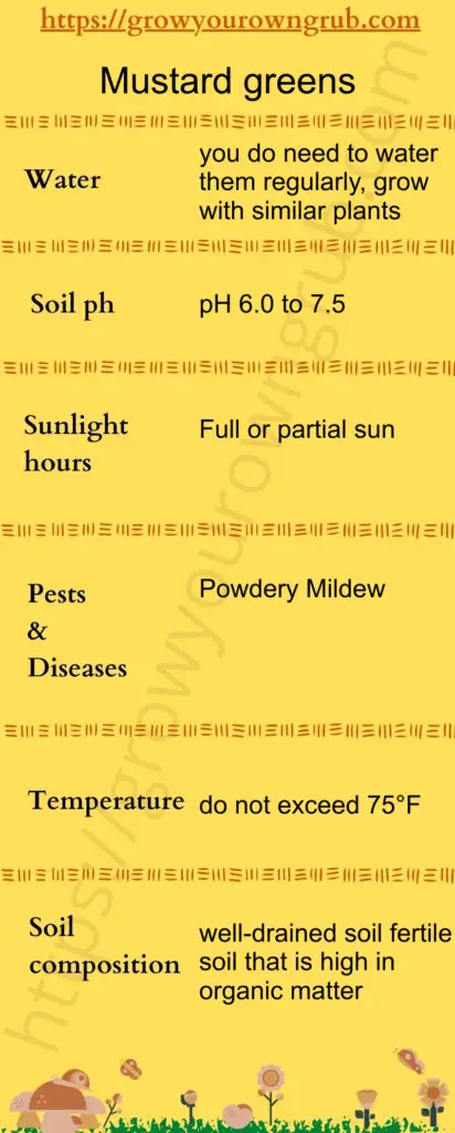 How to grow Mustard Greens easily - Grow your own Grub!