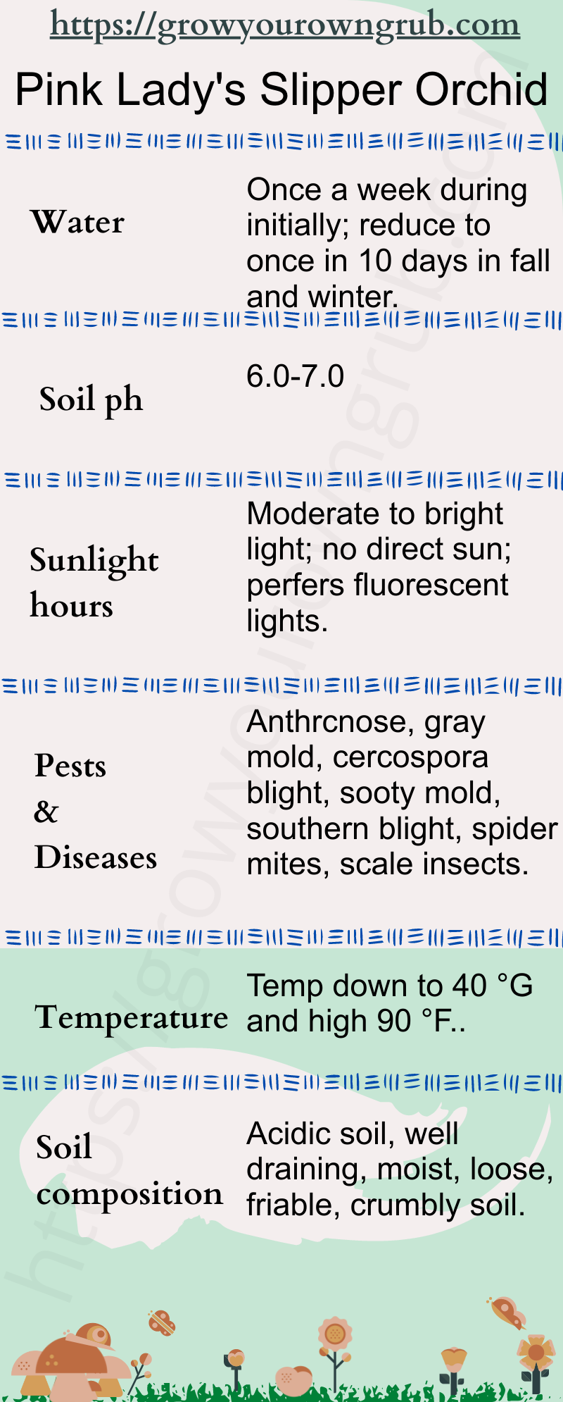 How to grow Pink Lady's Slipper Orchid at home - Grow your own Grub!